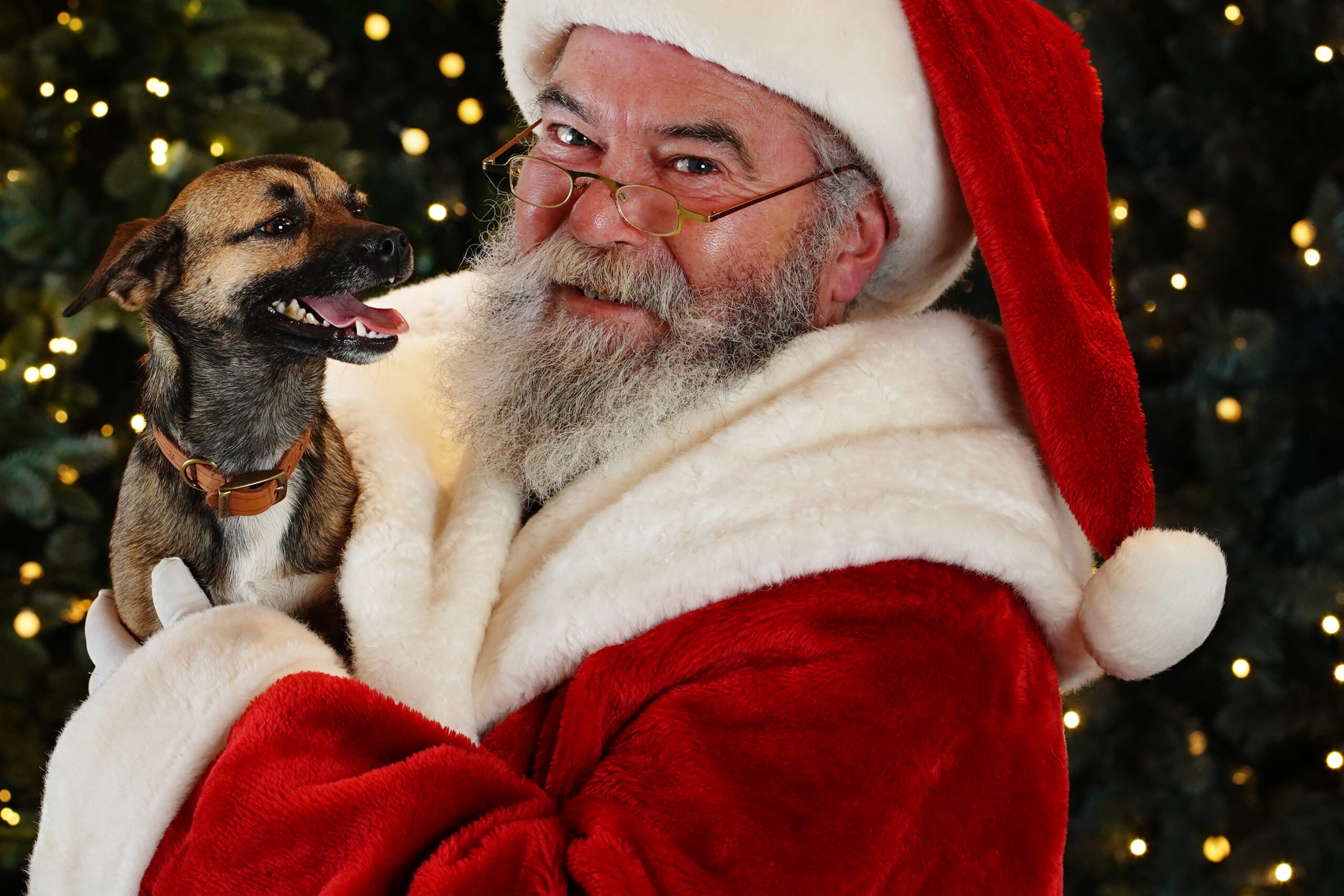 Dobbies Launches Glasgow 2021 Festive Events Programme Glasgow News Dobbies Launches Glasgow 2021 Festive Events Programme Glasgow News